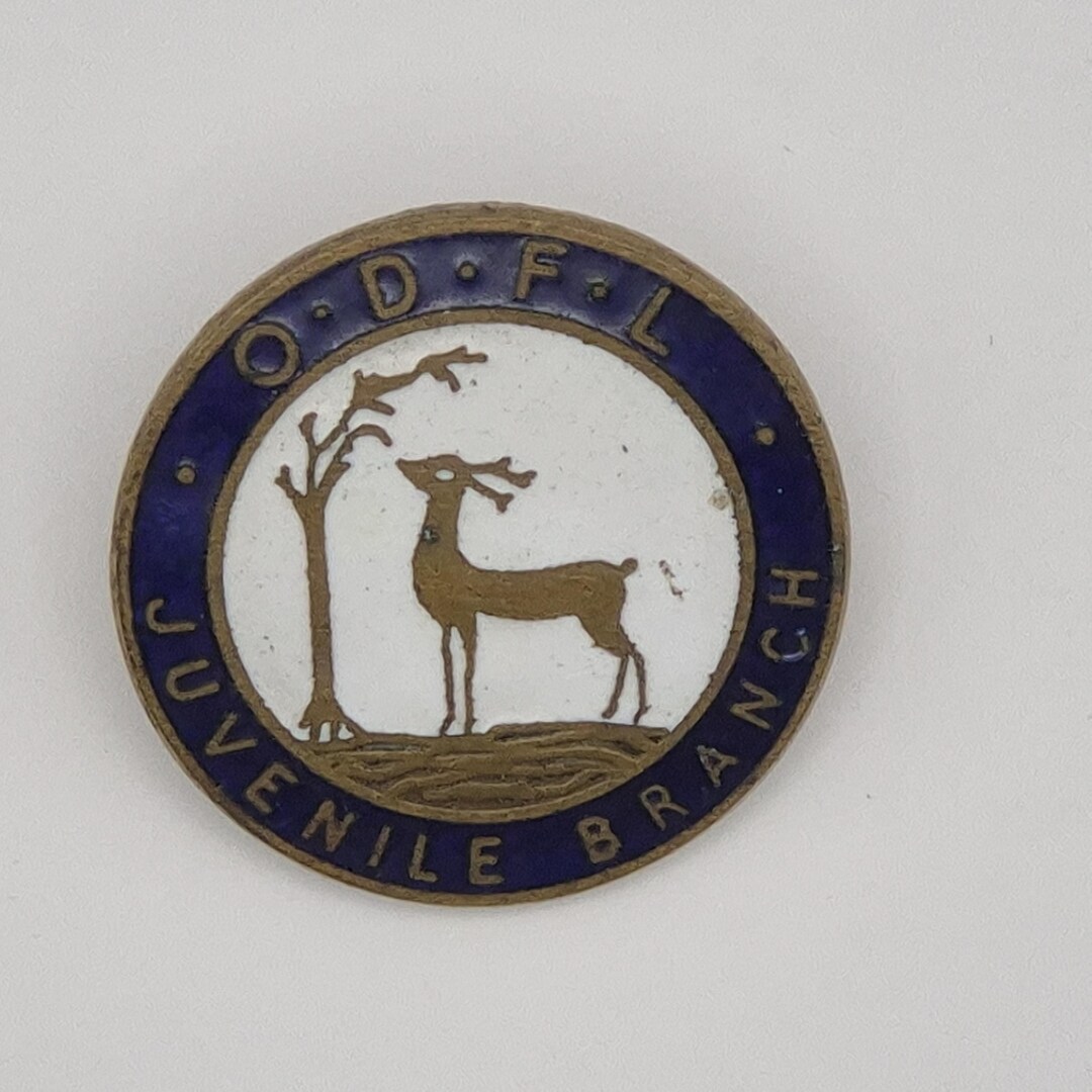 Vintage ODFL Juvenile Branch Enamel Pin Badge: Deer & Tree Motif - Etsy