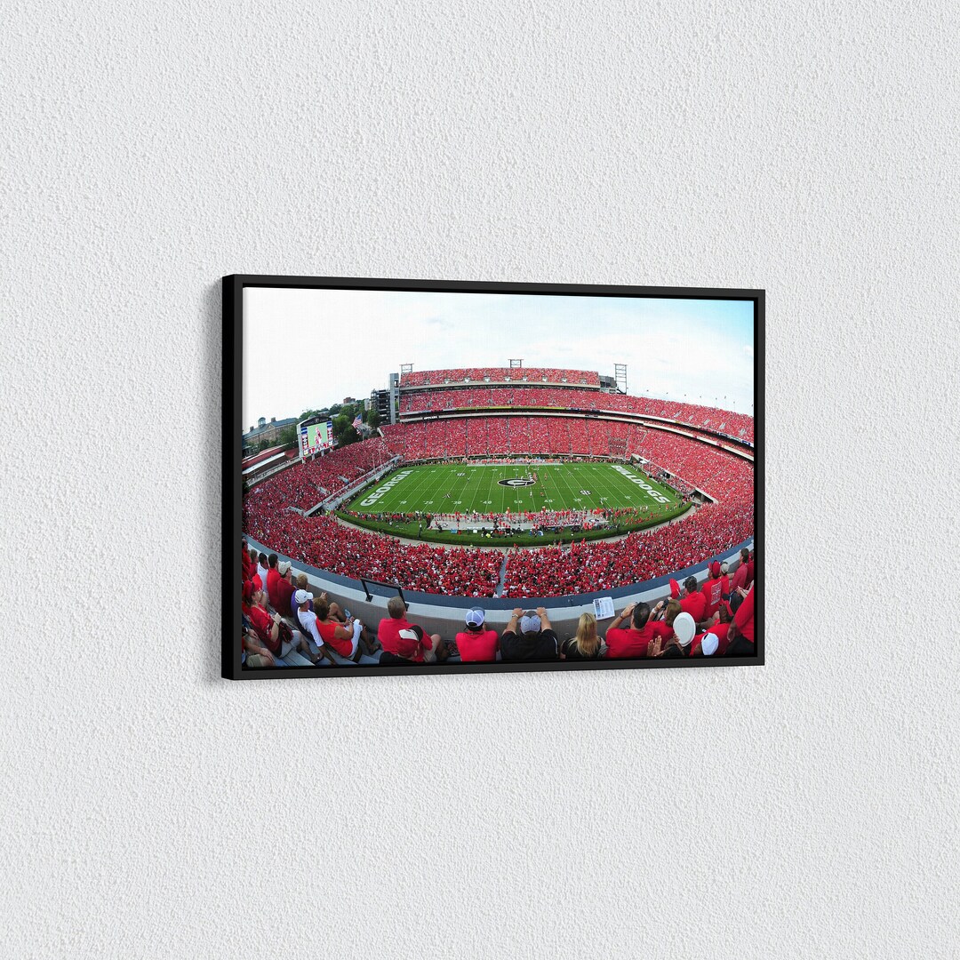 Georgia Bulldogs Stadium Canvas, Sanford Stadium Wall Art, American ...