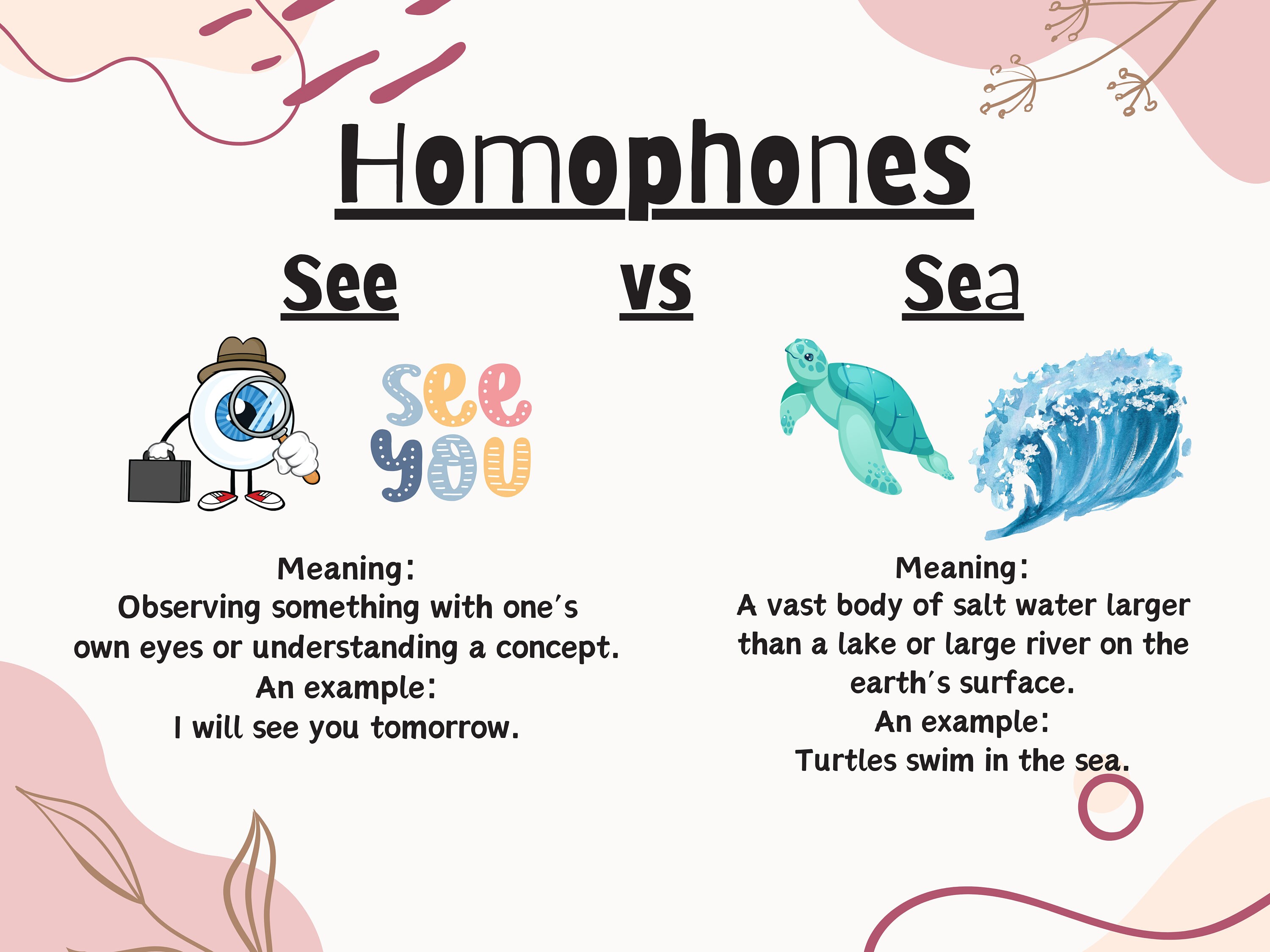 62 Common Spelling Homophone Display Posters - Etsy