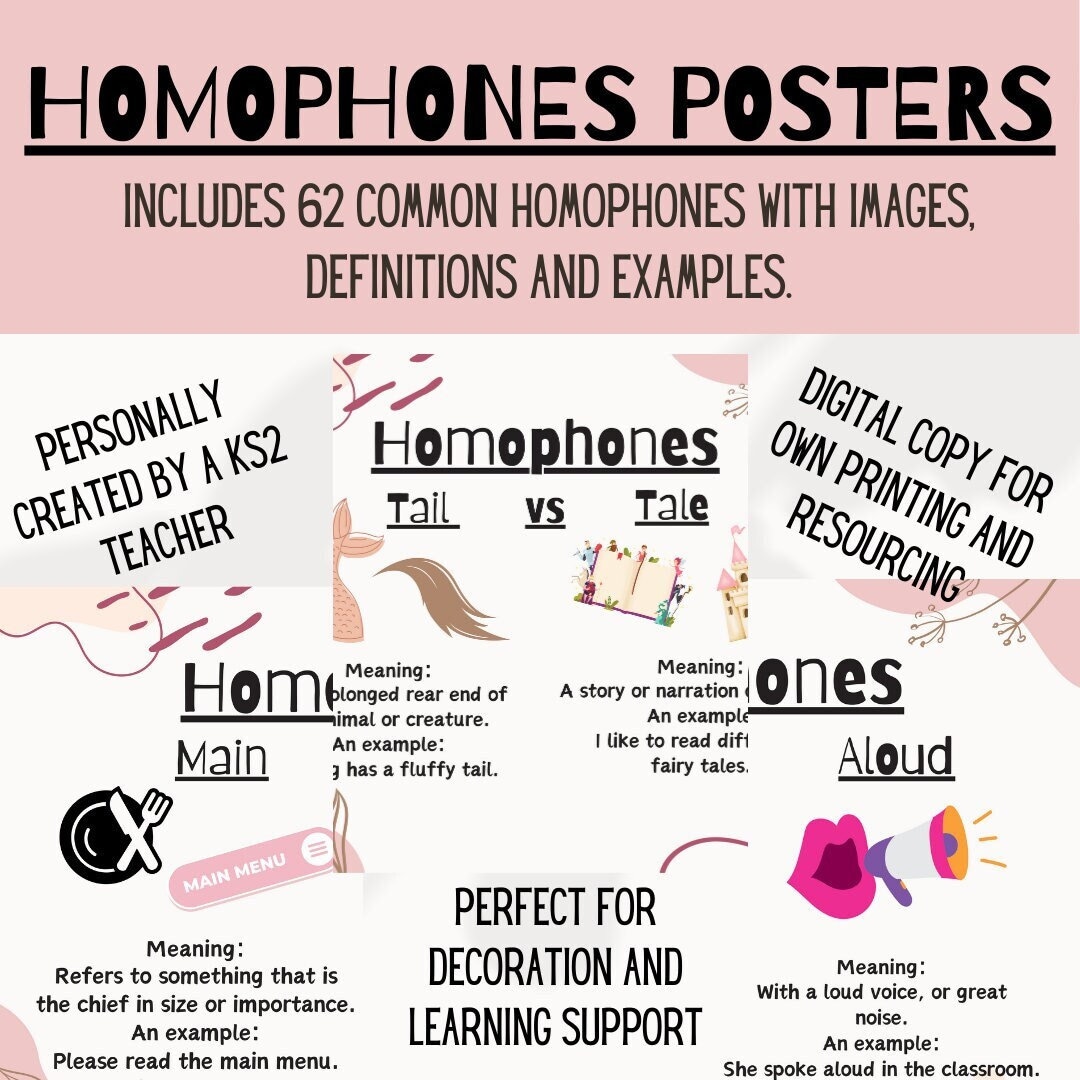 62 Common Spelling Homophone Display Posters - Etsy