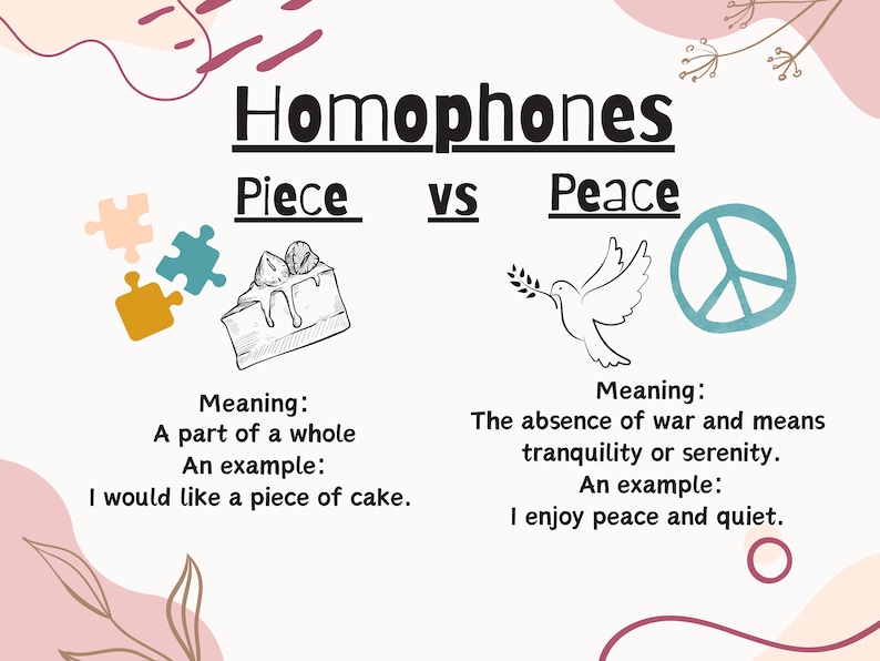 62 Common Spelling Homophone Display Posters - Etsy