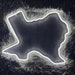 Texas Map Led Sign Texas Led Sign Wall Decor Texas Neon - Etsy