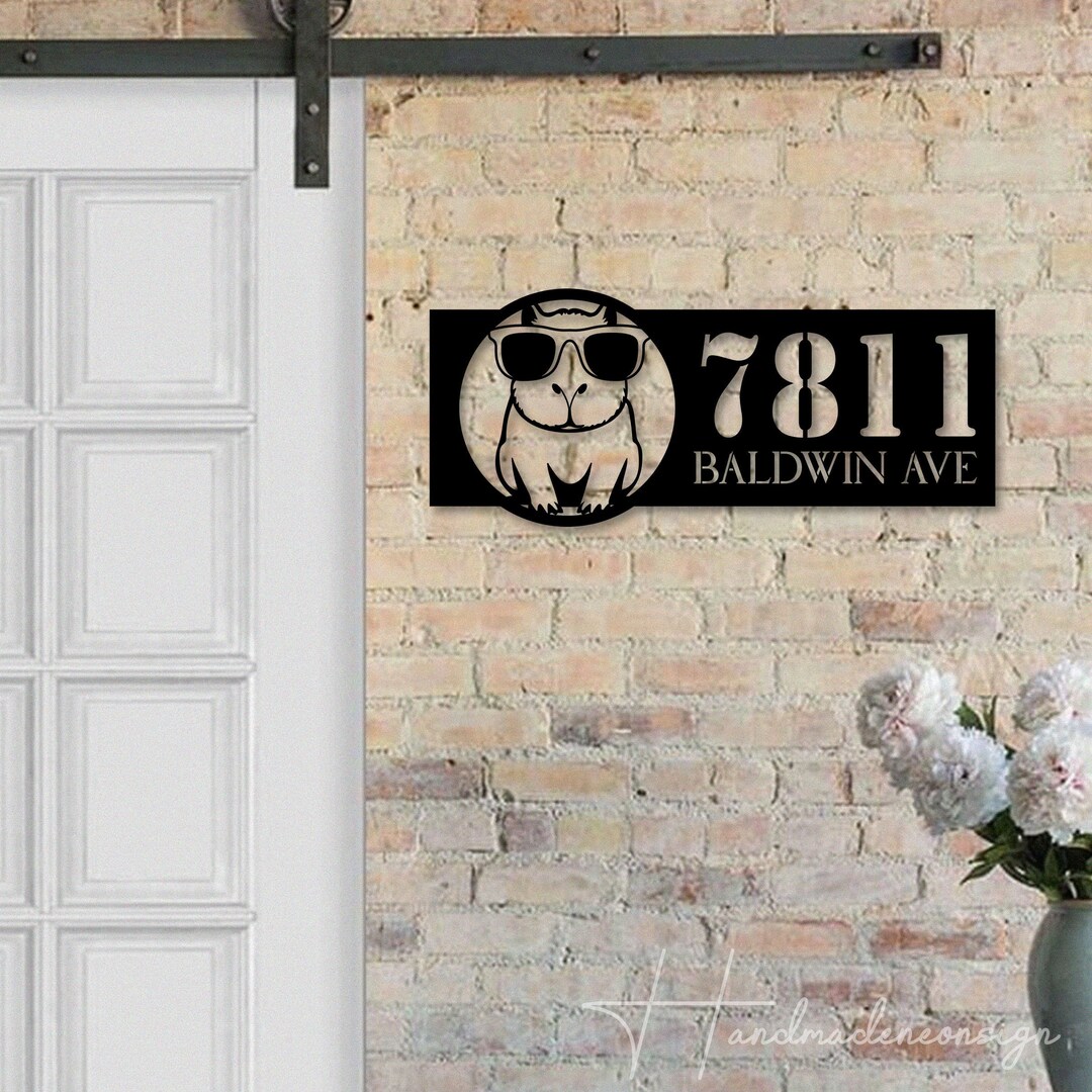 Personalized Capybara House Number, Custom Capybara Home Number Metal ...