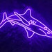 Shark Neon Sign, Shark Led Sign, Led Light, Custom Neon Sign, Home ...