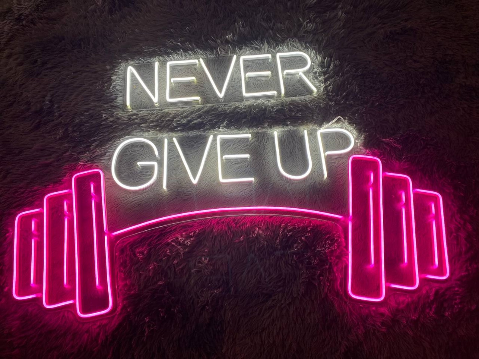 Never Give up Neon Sign, Dumbbell Led Sign, Barbell Led Neon, Sport Led ...