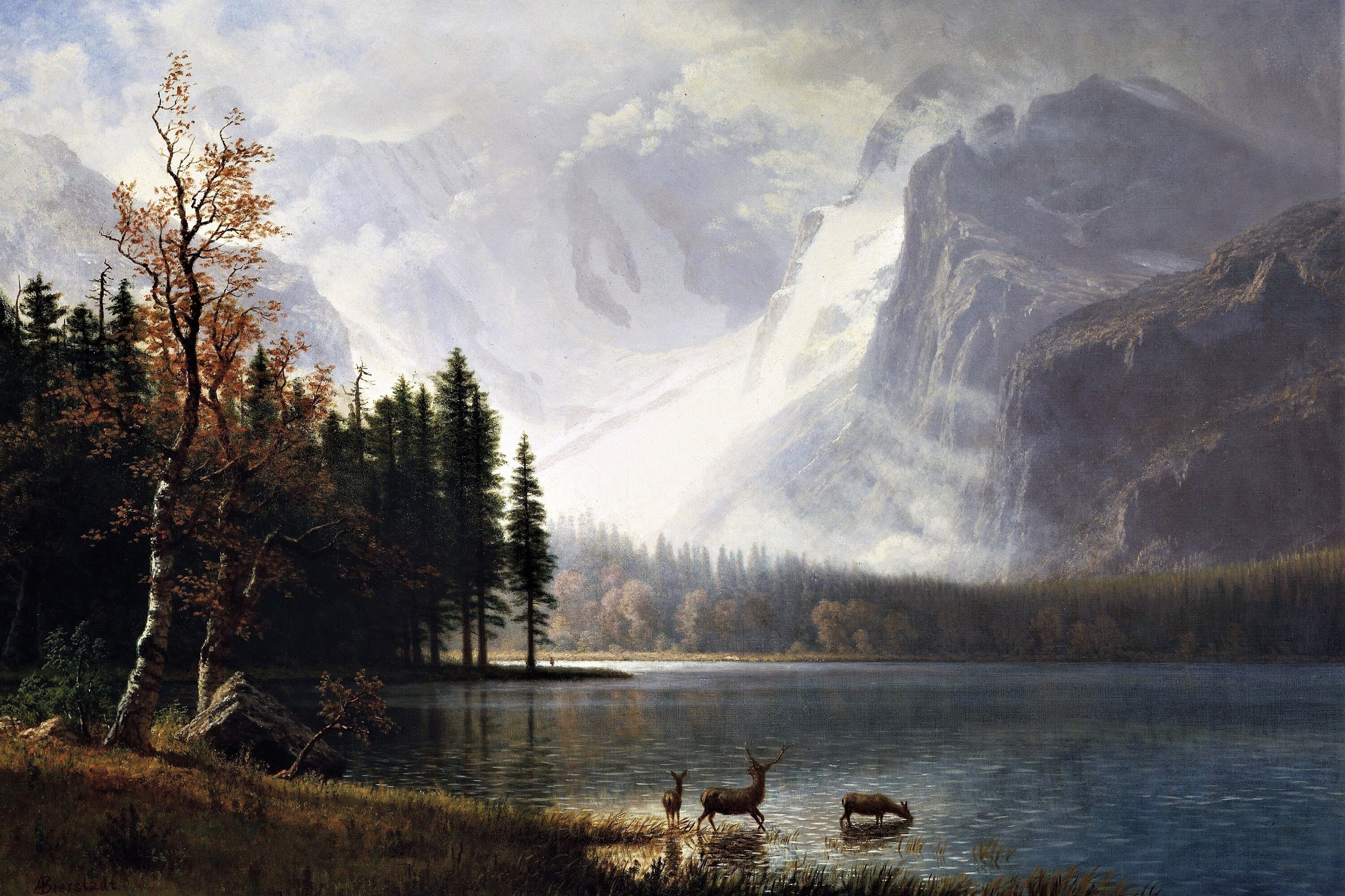 Colorado Wall Art, Wildlife Art, Estes Park Colorado Wall Art, Deer ...