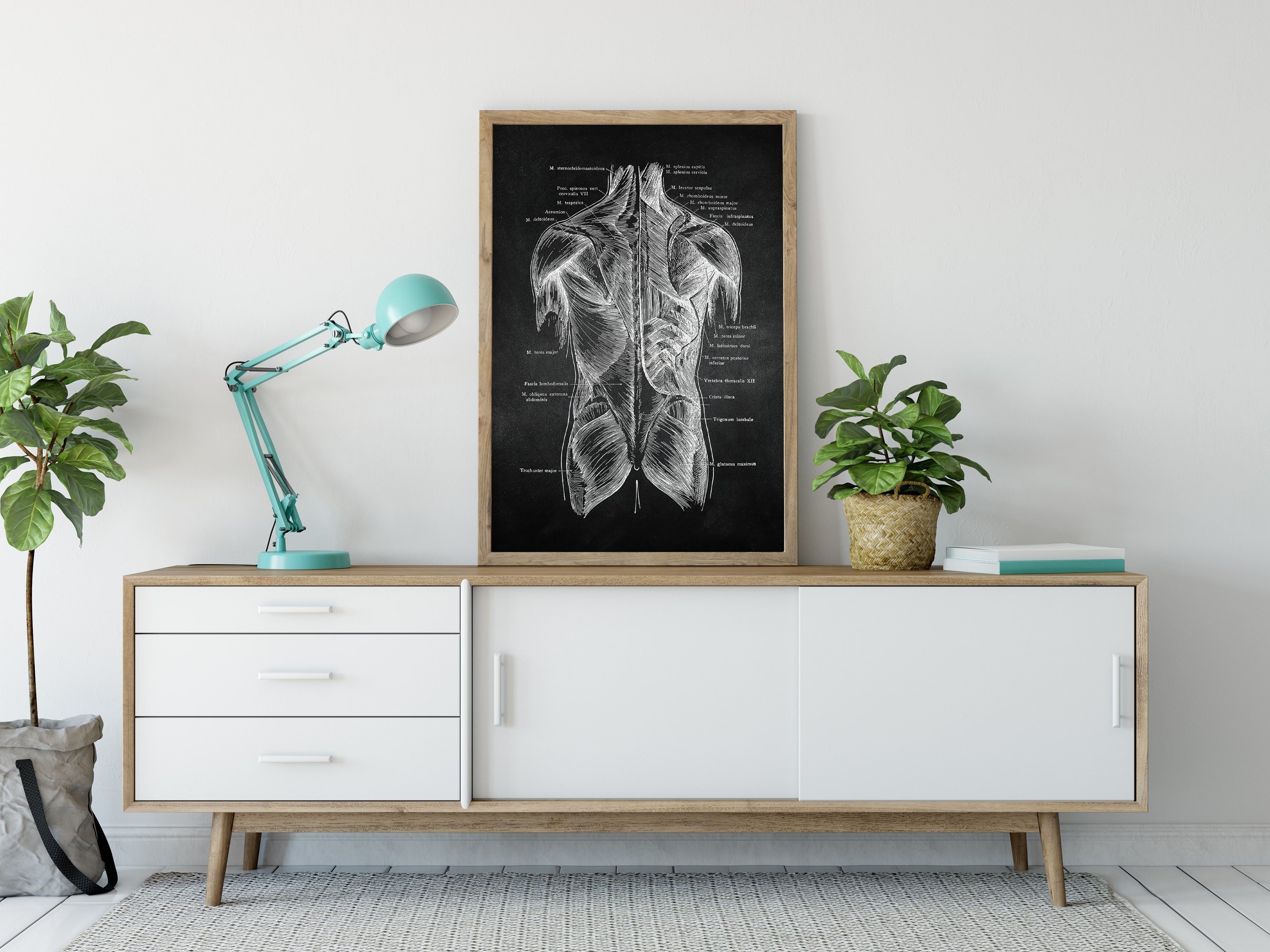Set of 6 Human Body Anatomy Print,vintage Human Anatomy Art Poster ...
