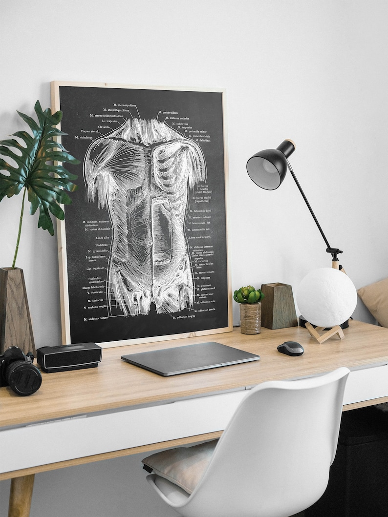 Set of 6 Human Body Anatomy Print,vintage Human Anatomy Art Poster ...