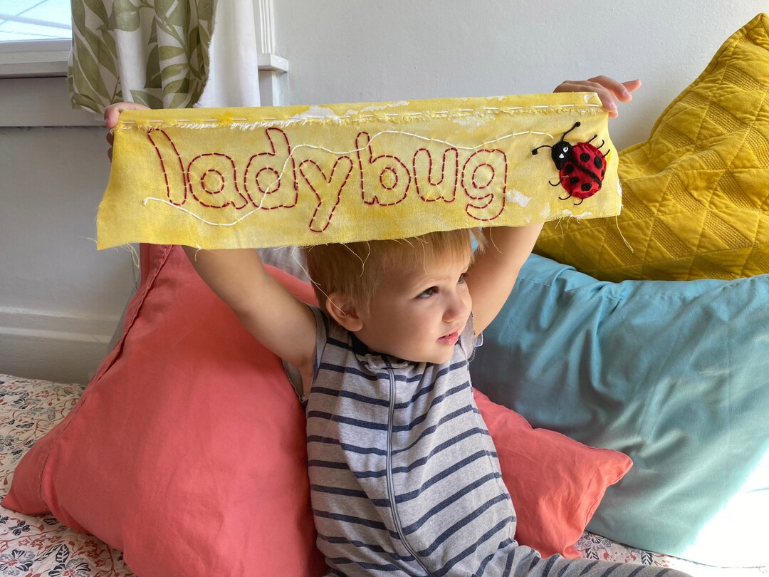 2 Dimensional LADYBUG, Custom Nursery Art, Baby Decor, Wall Decor, Baby ...