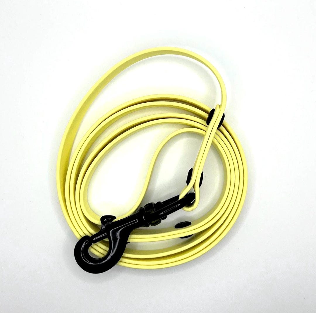 Pastel Yellow Biothane Leash, 5 Ft Dog Leash, 5/8” Wide, Biothane Leash ...