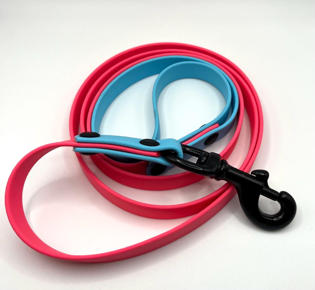 Neon Pink and Light Blue Biothane Leash, 5 Ft Dog Leash, 5/8” Wide ...
