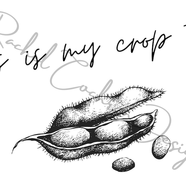Soybean Svg - Etsy
