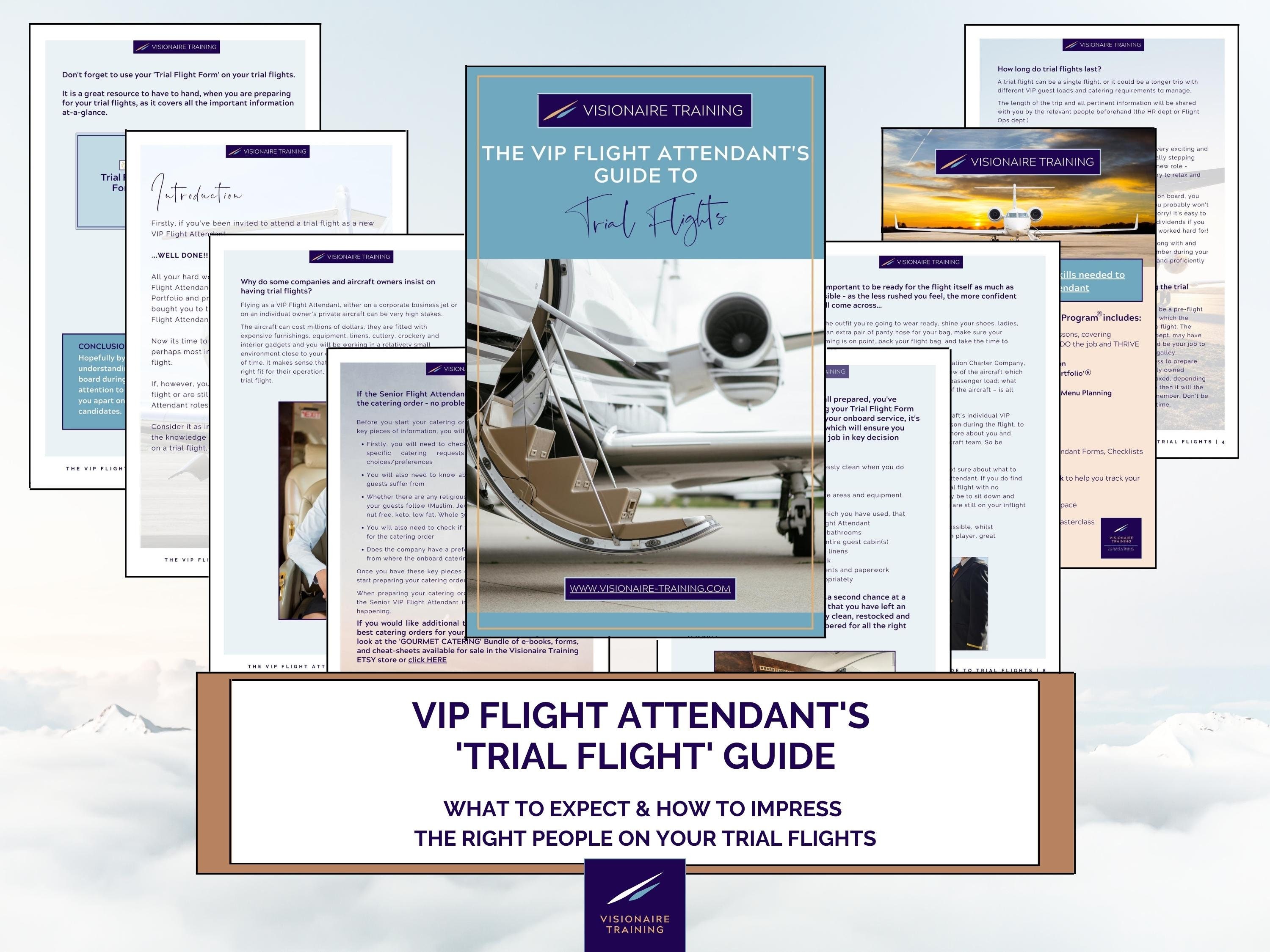 VIP Flight Attendant & Cabin Crew 'get the Job' Bundle Resume Guide ...