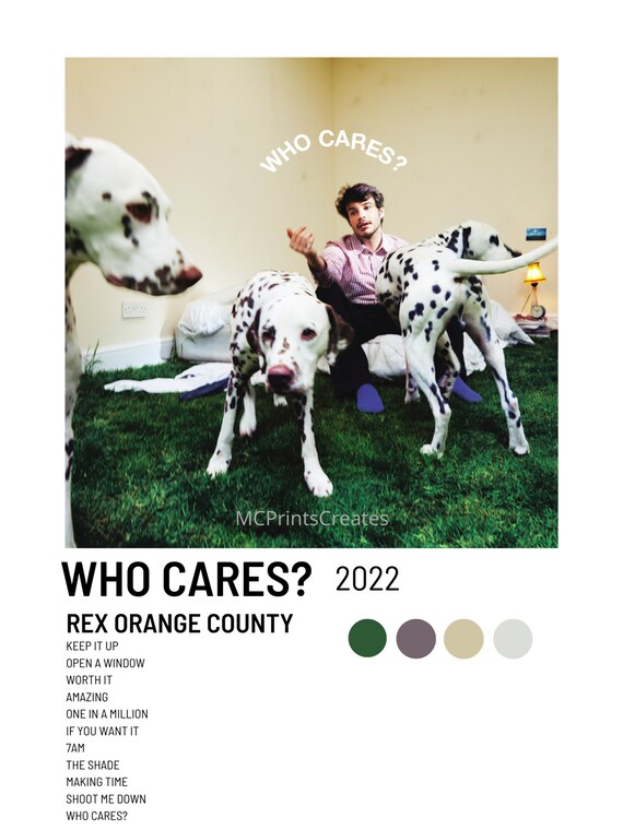 Rex Orange County Album Cover Art - Etsy