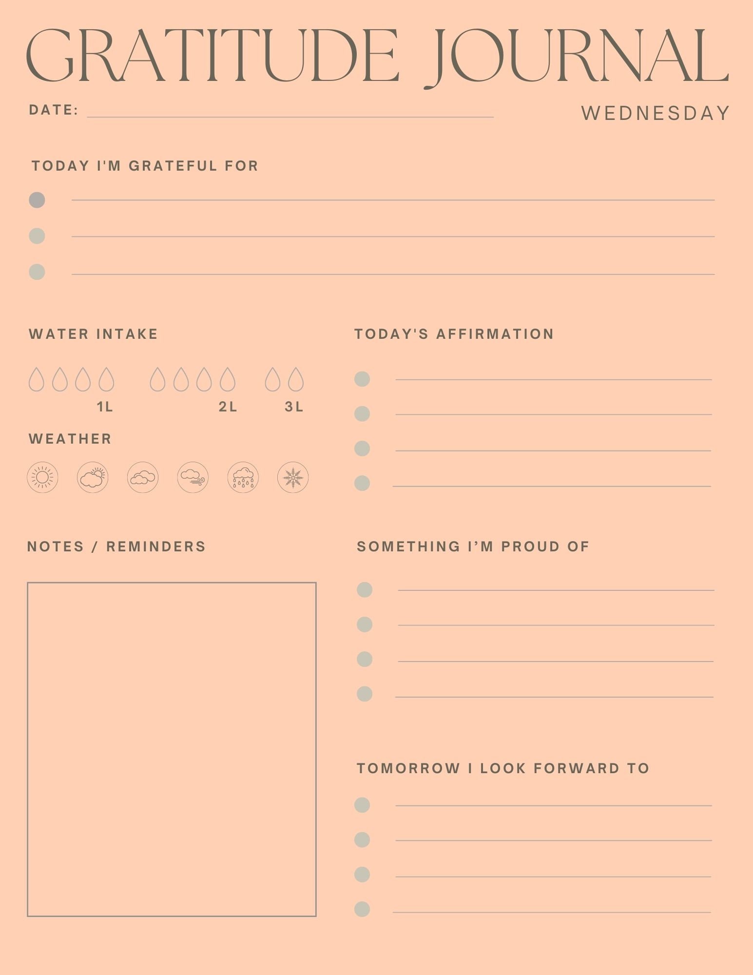 Daily Gratitude Journal - Etsy