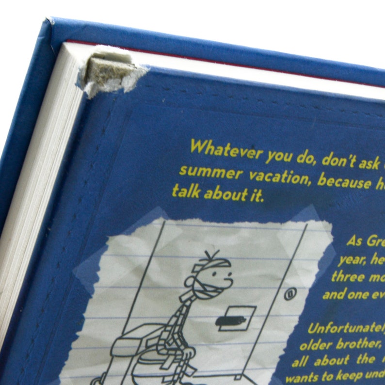 Diary of A Wimpy Kid Rodrick Rules Hardcover Jeff Kinney - Etsy