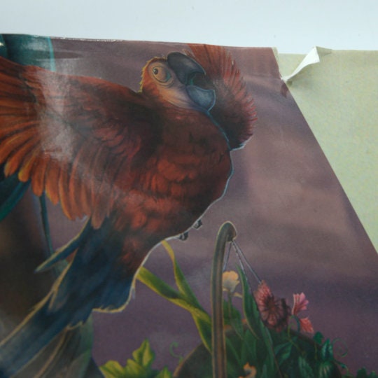 Martina the Beautiful Cockroach Children's Book With Dust - Etsy