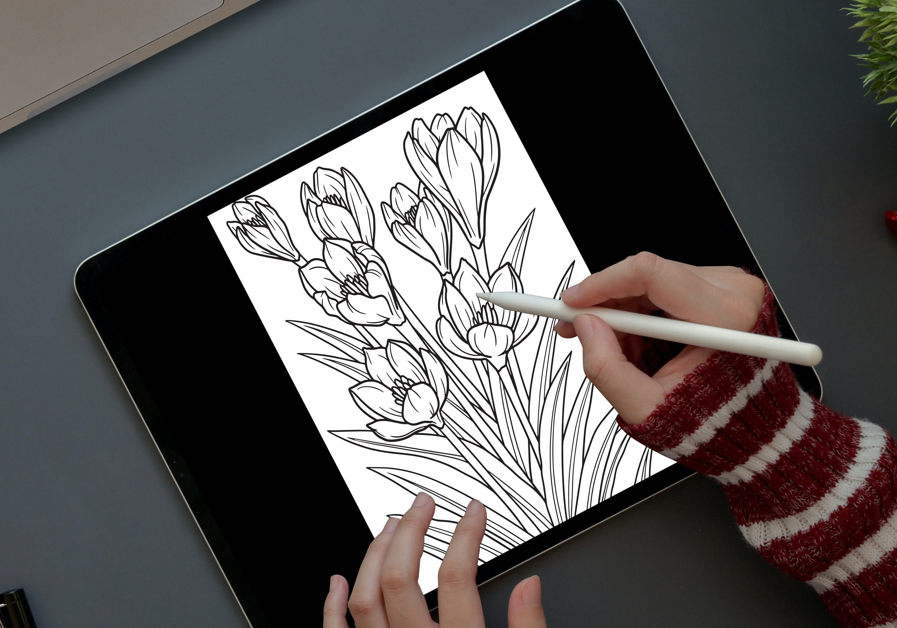 Digital and Printable Coloring Book With Floral Designs - Etsy