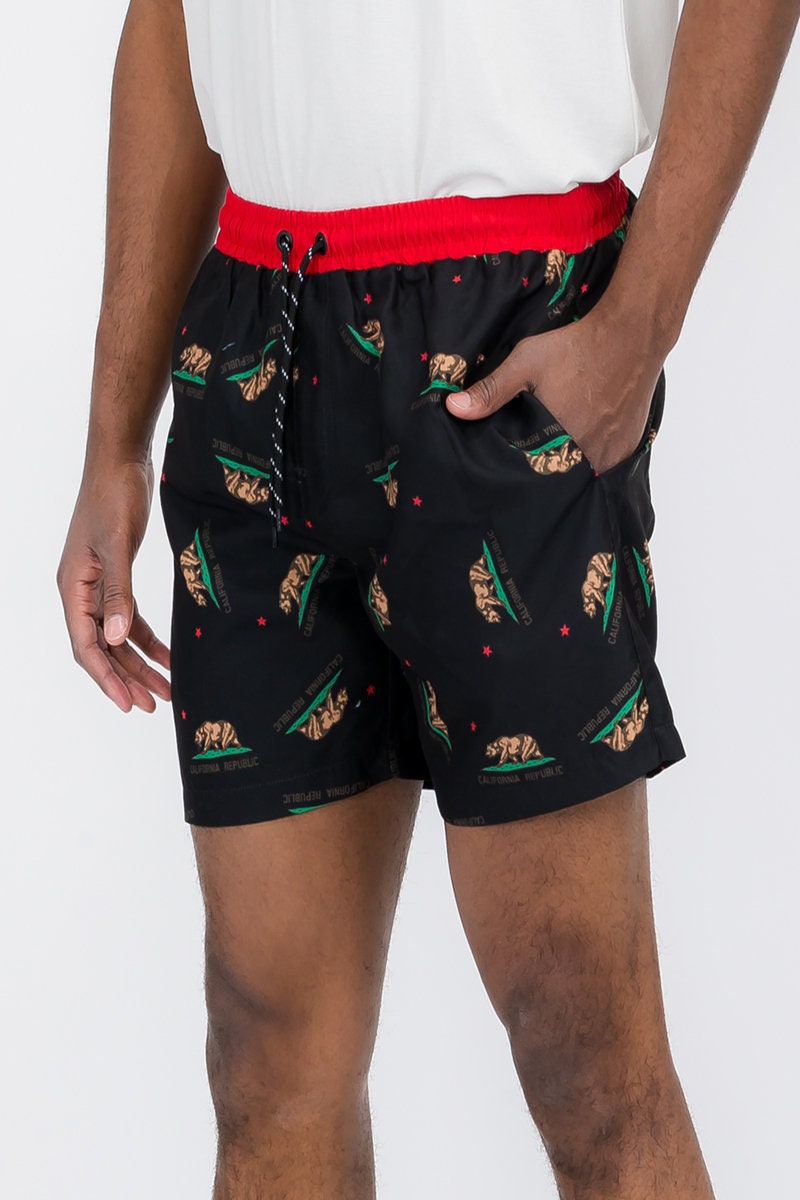 Mens Swim Trunks Fun Summer Pattern Trunks Men's Beachwear With Mesh ...