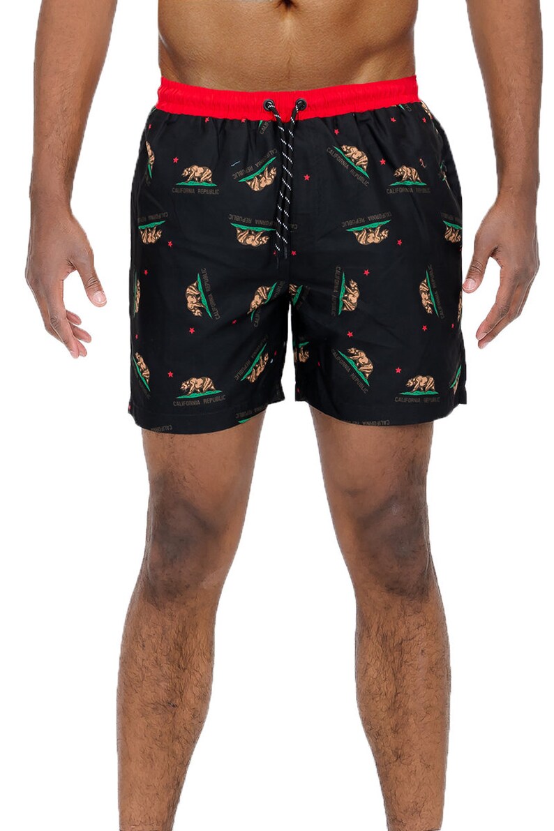 Mens Swim Trunks Fun Summer Pattern Trunks Men's Beachwear With Mesh ...