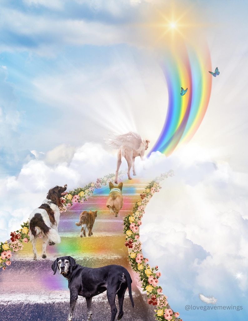 Digital Art - Pets Crossing the Rainbow Bridge | Pet Loss Tribute - Etsy