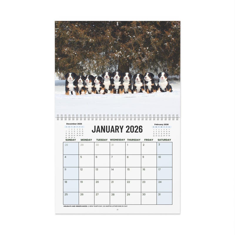 2026 Dog Calendars - Etsy