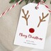 Red Nose Reindeer Gift Tag Reindeer Gift Tag Editable Gift Tag - Etsy