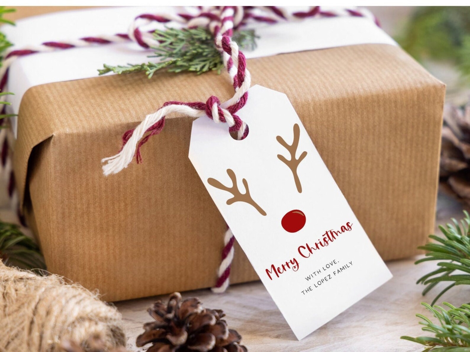 Red Nose Reindeer Gift Tag Reindeer Gift Tag Editable Gift Tag - Etsy