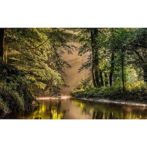 Large Forest Wall Art Canvas Landscape Picture - Etsy