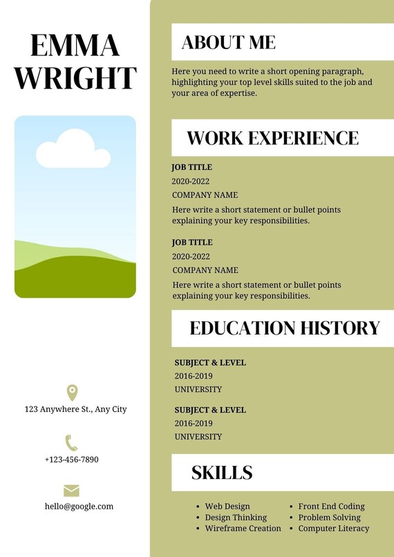 EDITABLE CV TEMPLATE Professional but Fancy - Etsy