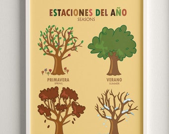 Spanish Learning Poster of the Alphabet Educational Printable - Etsy