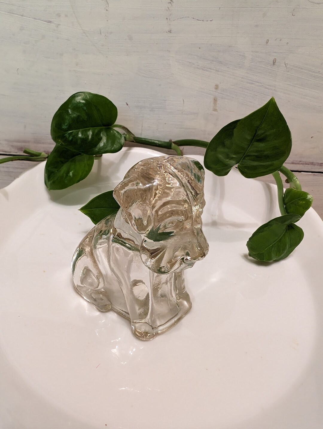Vintage Clear Glass Bulldog Candy Holder - Etsy