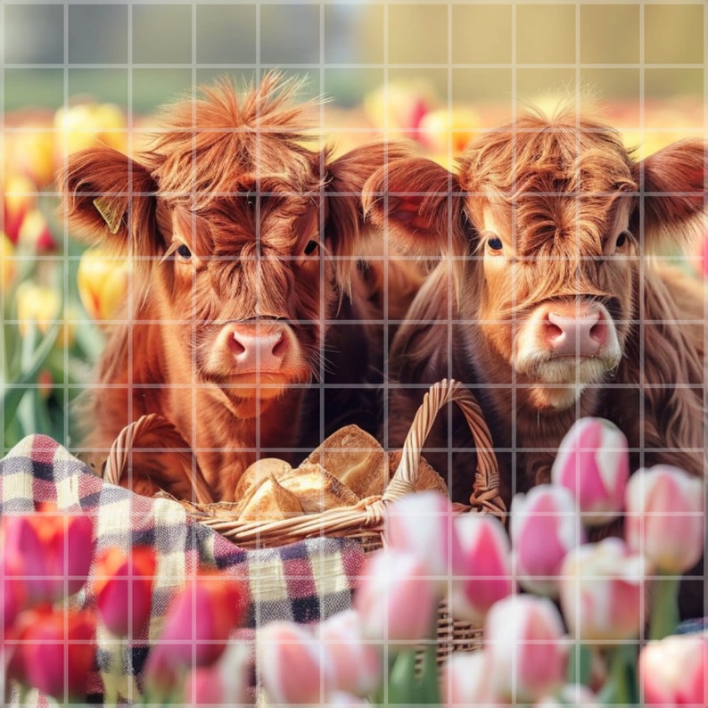 80 Spring Highland Cow Digital Backgrounds - Flower Fields, Boho, Tulip ...