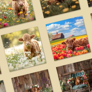 80 Spring Highland Cow Digital Backgrounds - Flower Fields, Boho, Tulip ...