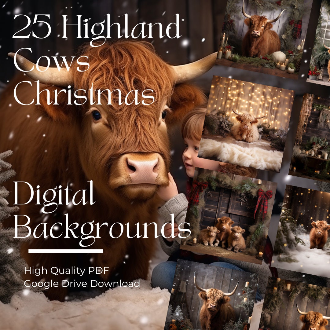 25 Highland Cows Christmas Digital Backgrounds - Farm, Barn, Lights ...