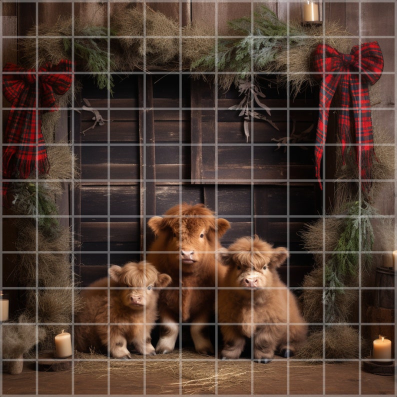 25 Highland Cows Christmas Digital Backgrounds - Farm, Barn, Lights ...