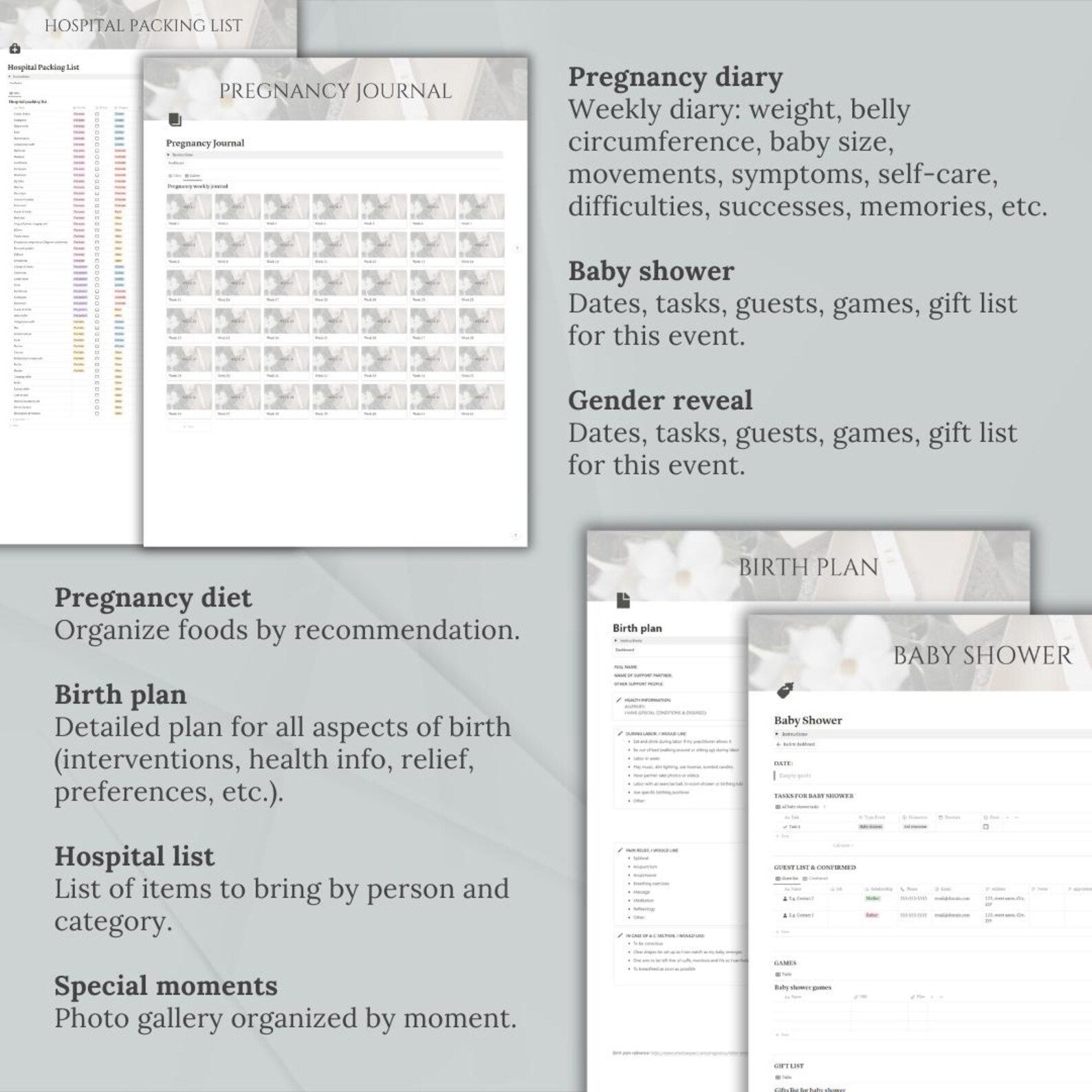 Notion Template Pregnancy Planner | Pregnancy Diary, Birth Plan, Baby ...