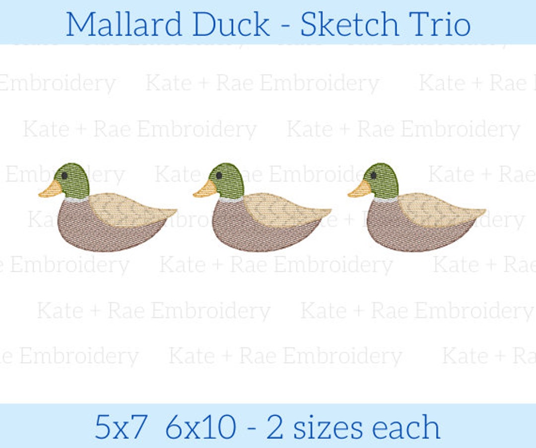 Duck Trio Sketch Stitch Embroidery Design Farm Trio Sketch - Etsy