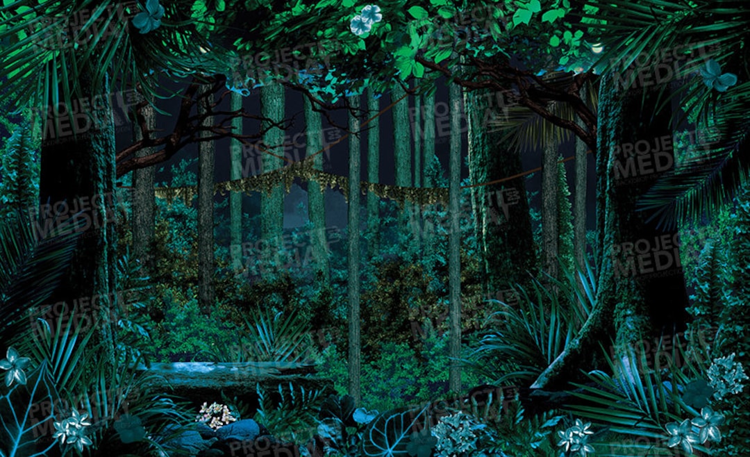 Thick Jungle / Forest at Night Stage Backdrop in Digital Format for ...
