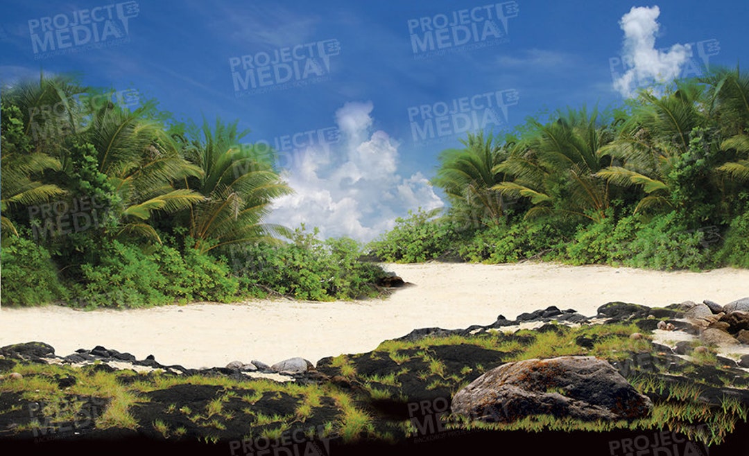 Tropical Beach Backdrop 2 Stage Backdrop in Digital Format for ...