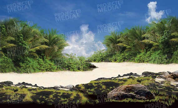 Tropical Beach Backdrop 2 Stage Backdrop in Digital Format for - Etsy