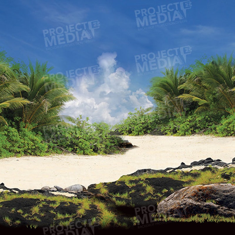 Canvas Backdrop - Etsy