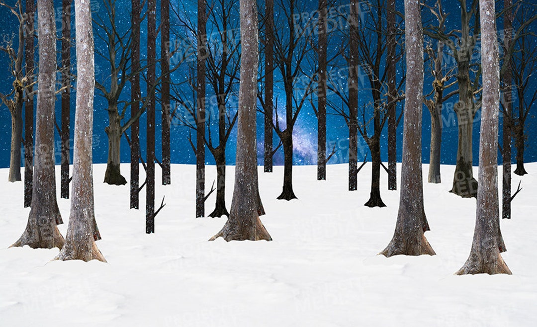 Christmas and Winter Stage Backdrop in Digital Format for Projection ...