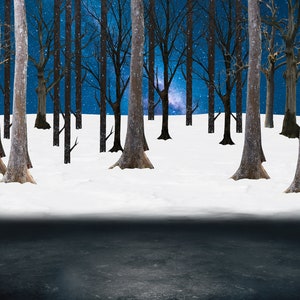 Christmas and Winter Stage Backdrop in Digital Format for Projection ...