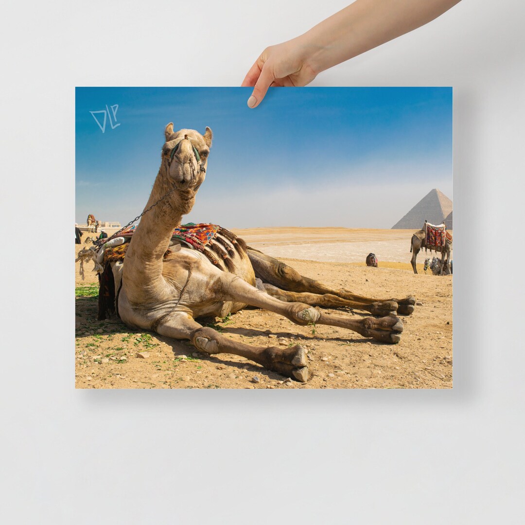 Cairo, Egypt DLP Photo Paper Poster - Etsy