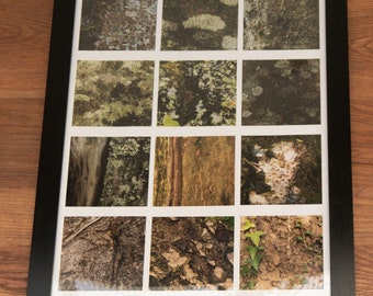 Bark Collage Print - Etsy