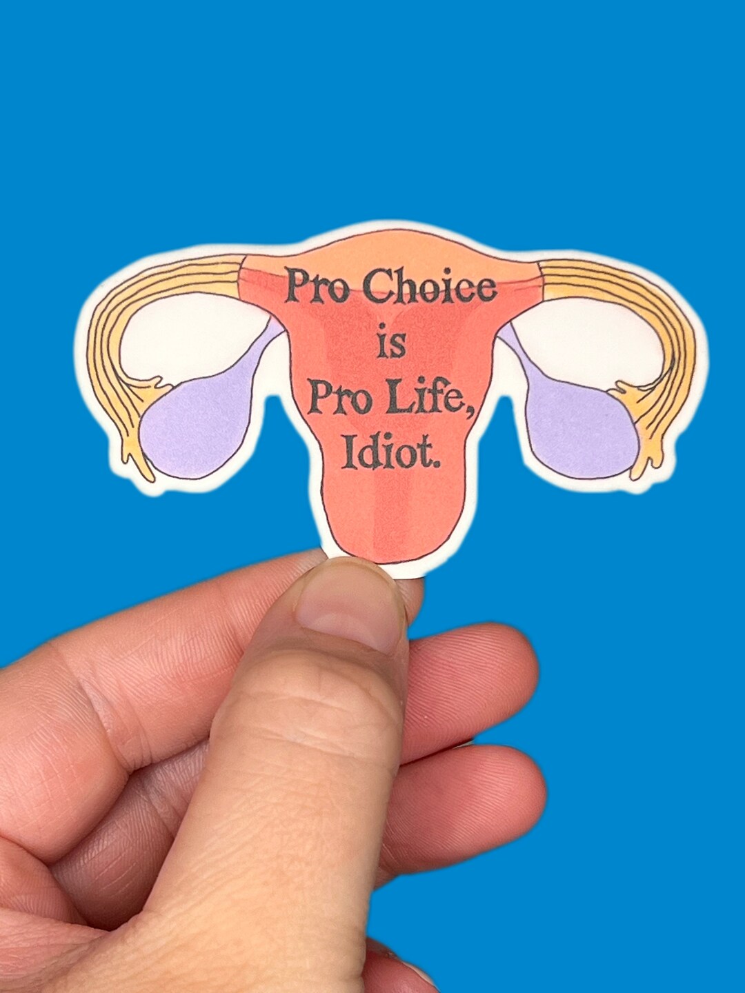 Pro Choice is Pro Life Sticker - Etsy