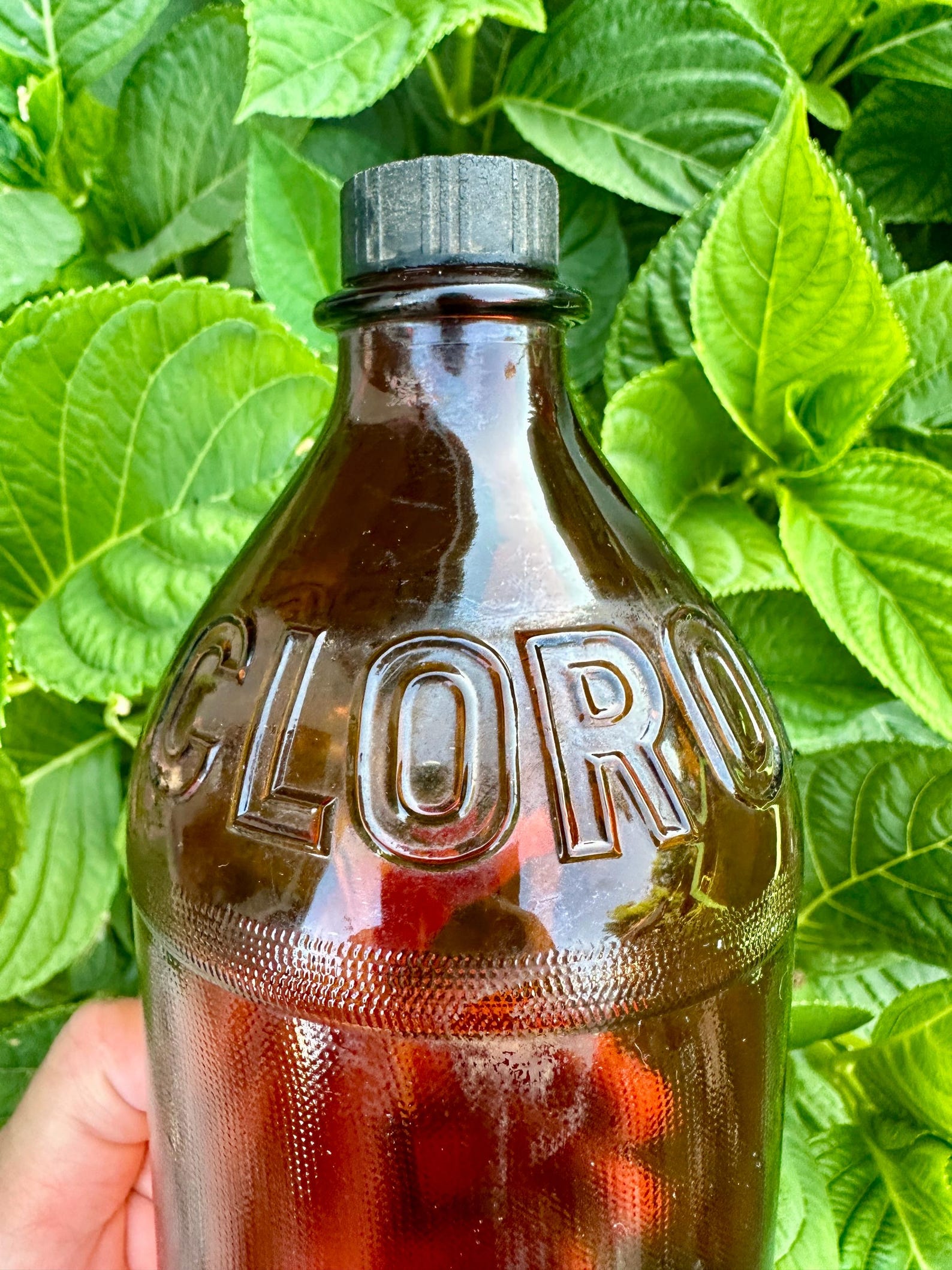 1951-1954 Clorox Quart Amber Glass Bottle; Vintage Bleach Bottle ...