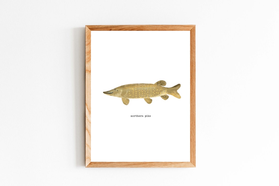 Nursery Printable Northern Pike Poster Fish Fish Print - Etsy