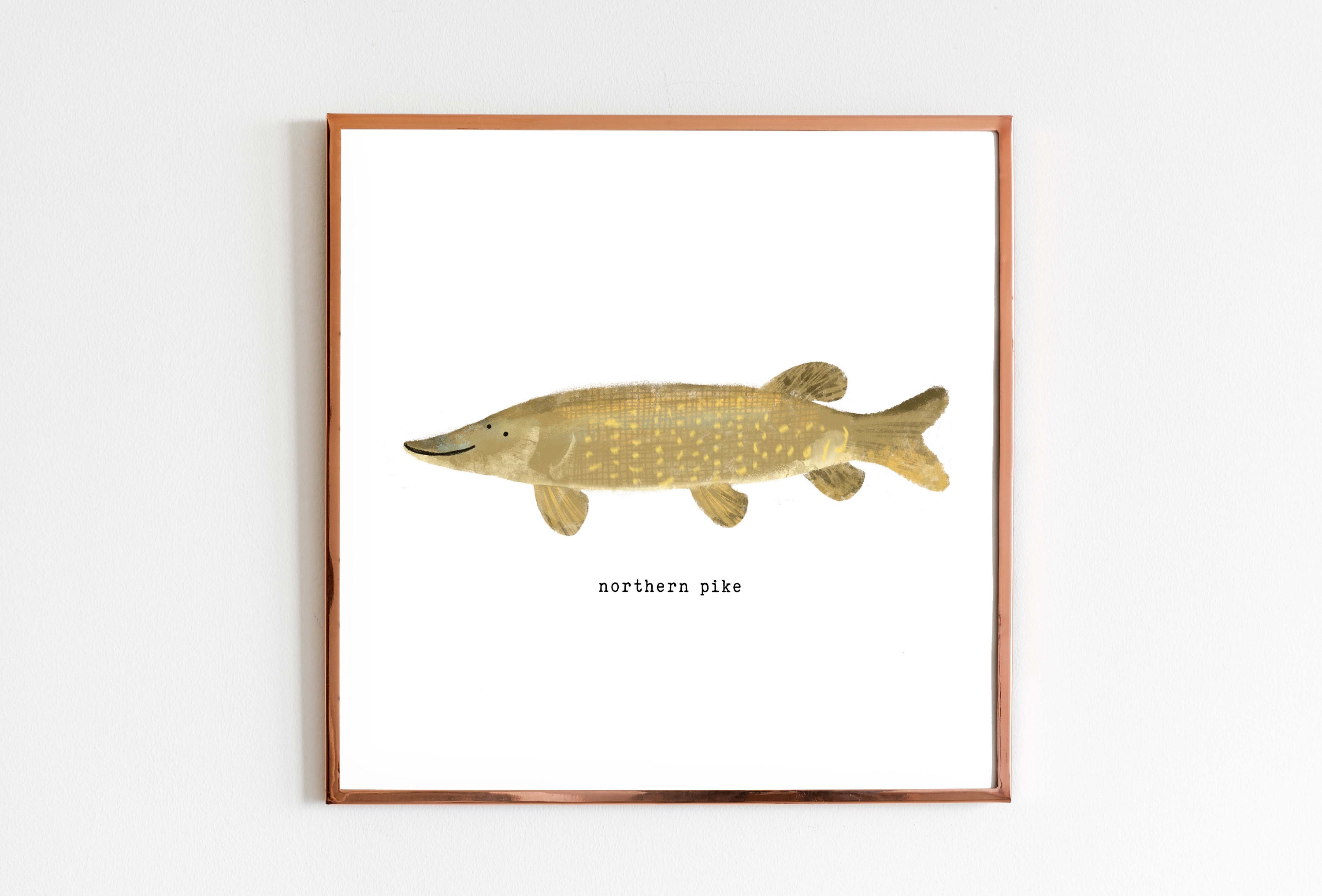 Nursery Printable Northern Pike Poster Fish Fish Print - Etsy